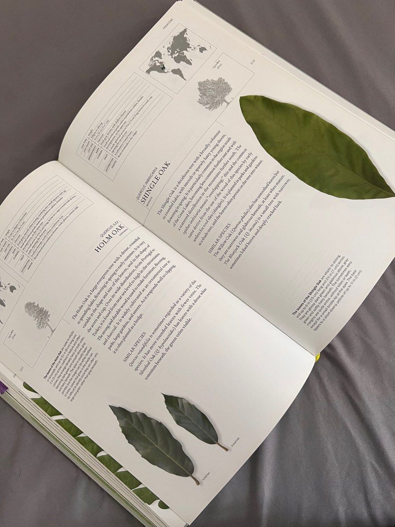 The Book of Leaves by Allen J. Coombes, Hobbies & Toys, Books ...