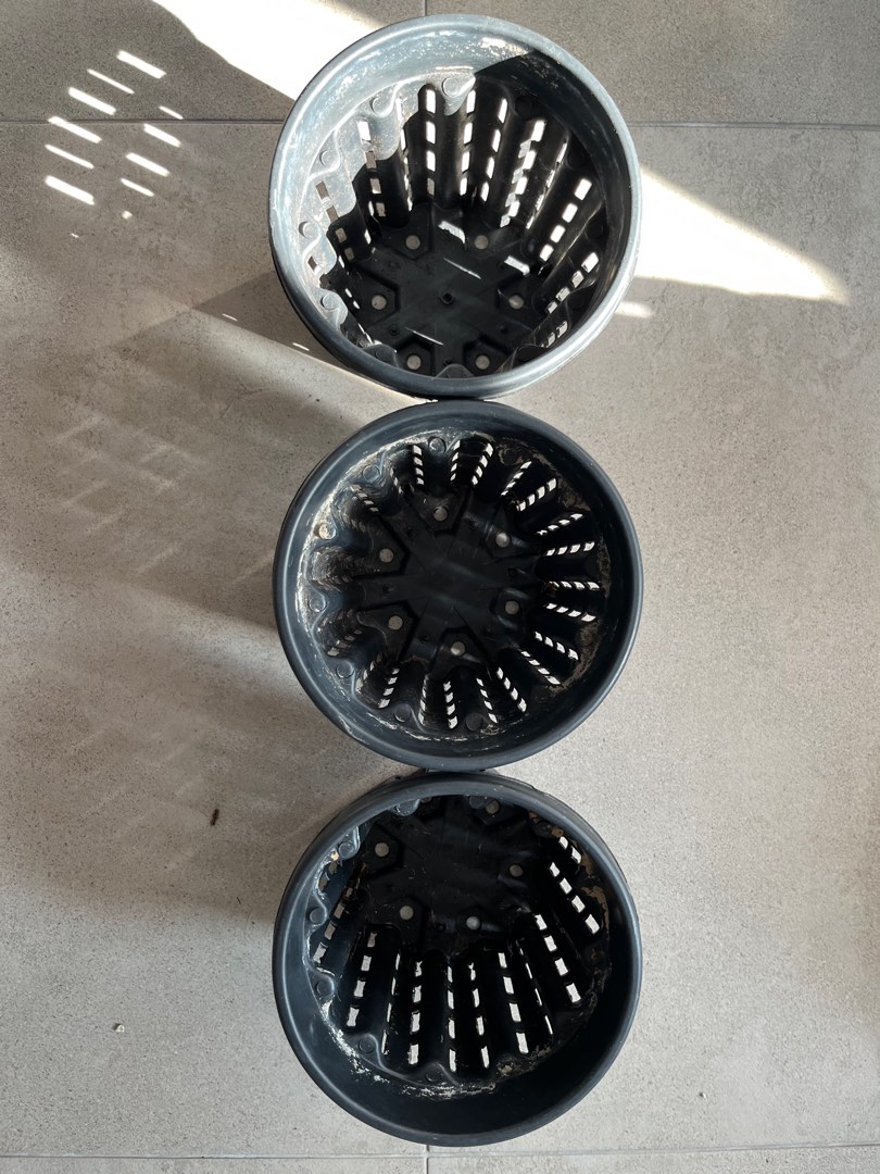 Air Root Pruning Pot (16cm x 14cm) 2L, Furniture & Home Living ...