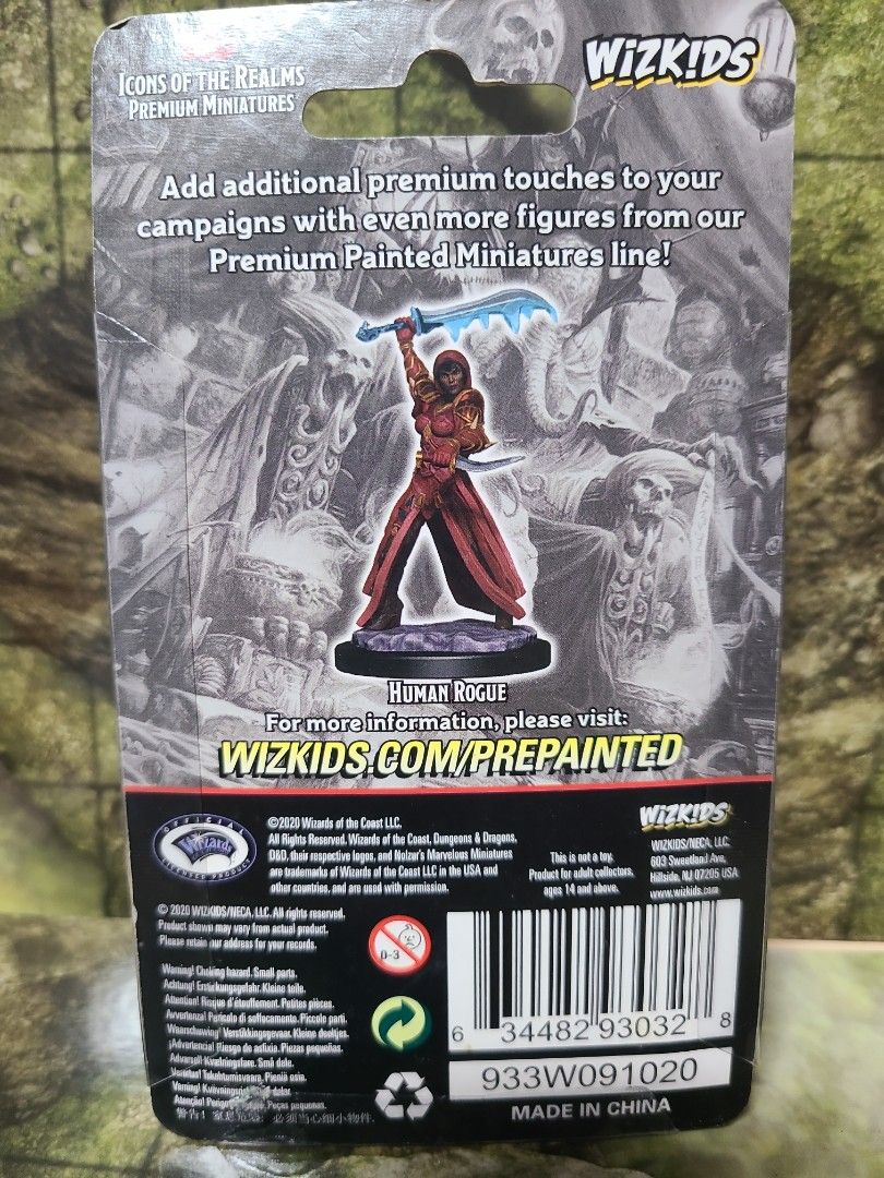 D&D premium mini Human rogue, Hobbies & Toys, Toys & Games on Carousell
