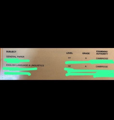 H2 ELL/"O" Lvl English Tuition, Learning & Enrichment, Enrichment ...