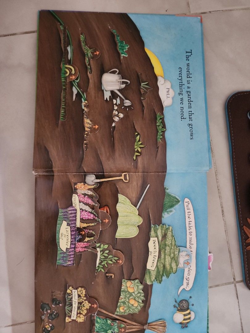 Interactive pull out, flip, pop up book set, Hobbies & Toys, Books ...