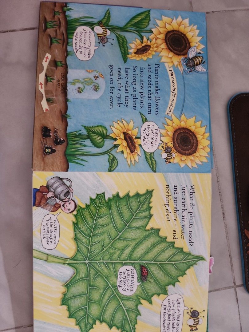 Interactive pull out, flip, pop up book set, Hobbies & Toys, Books ...