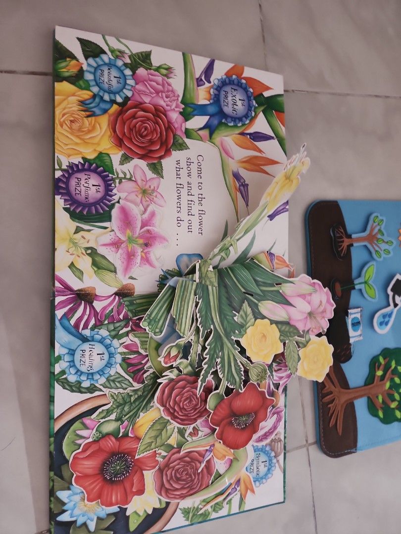 Interactive pull out, flip, pop up book set, Hobbies & Toys, Books ...