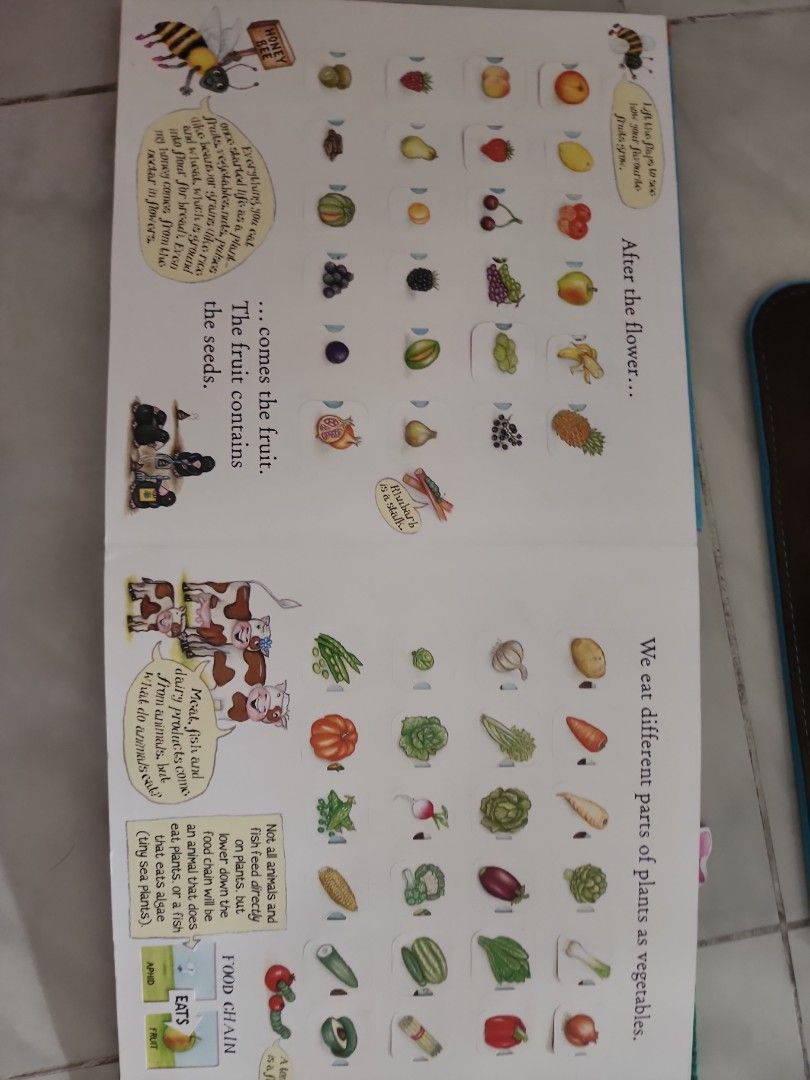 Interactive pull out, flip, pop up book set, Hobbies & Toys, Books ...