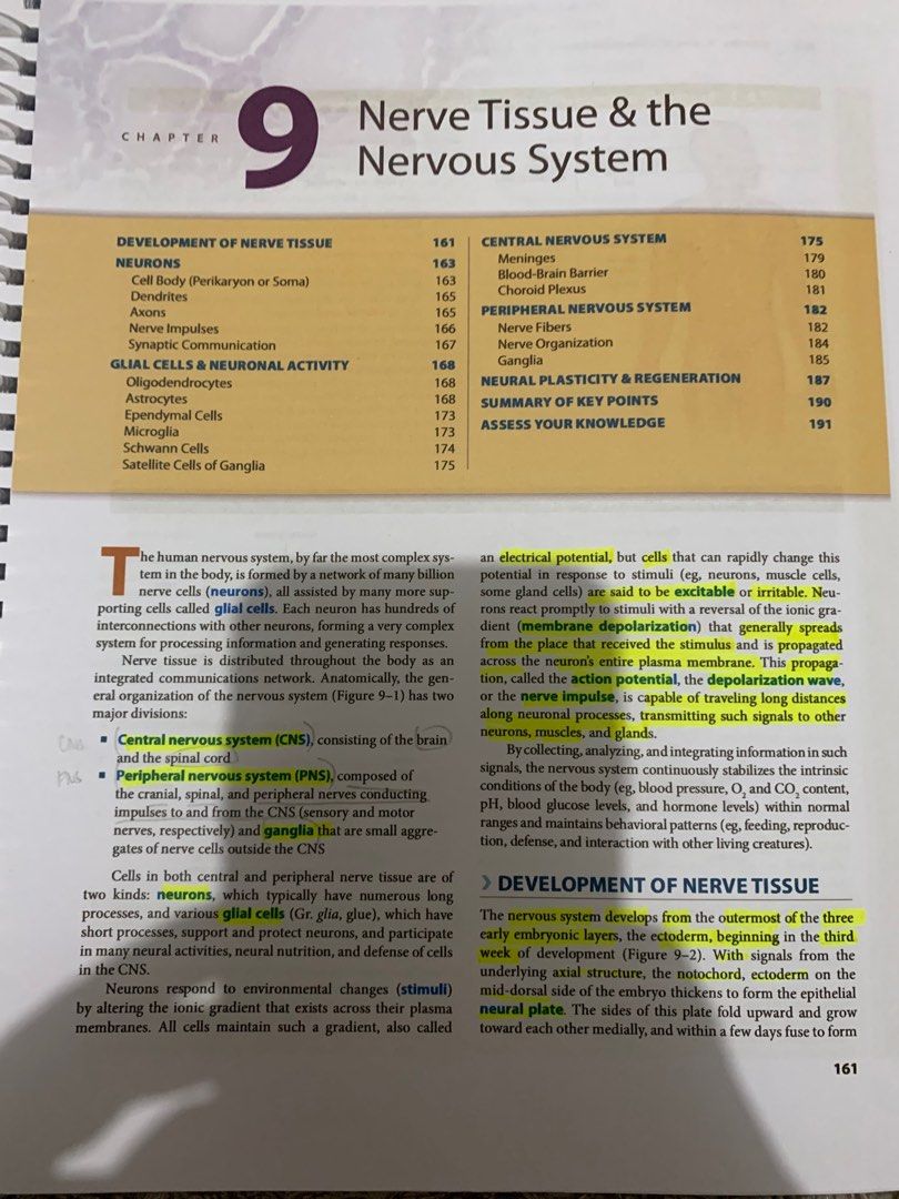Junqueiras Basic Histology| 16th ed, Hobbies & Toys, Books & Magazines ...