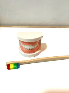 Montessori Children Brushing Tooth Teaching Aids Kids Brush Teeth ...