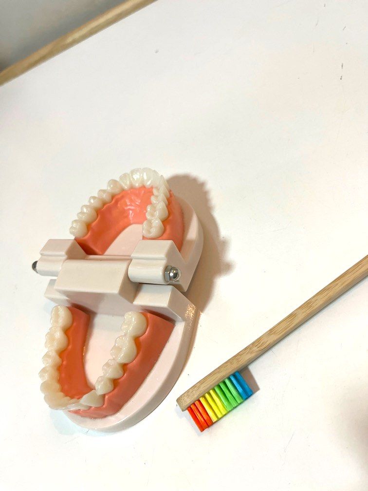 Montessori Children Brushing Tooth Teaching Aids Kids Brush Teeth ...