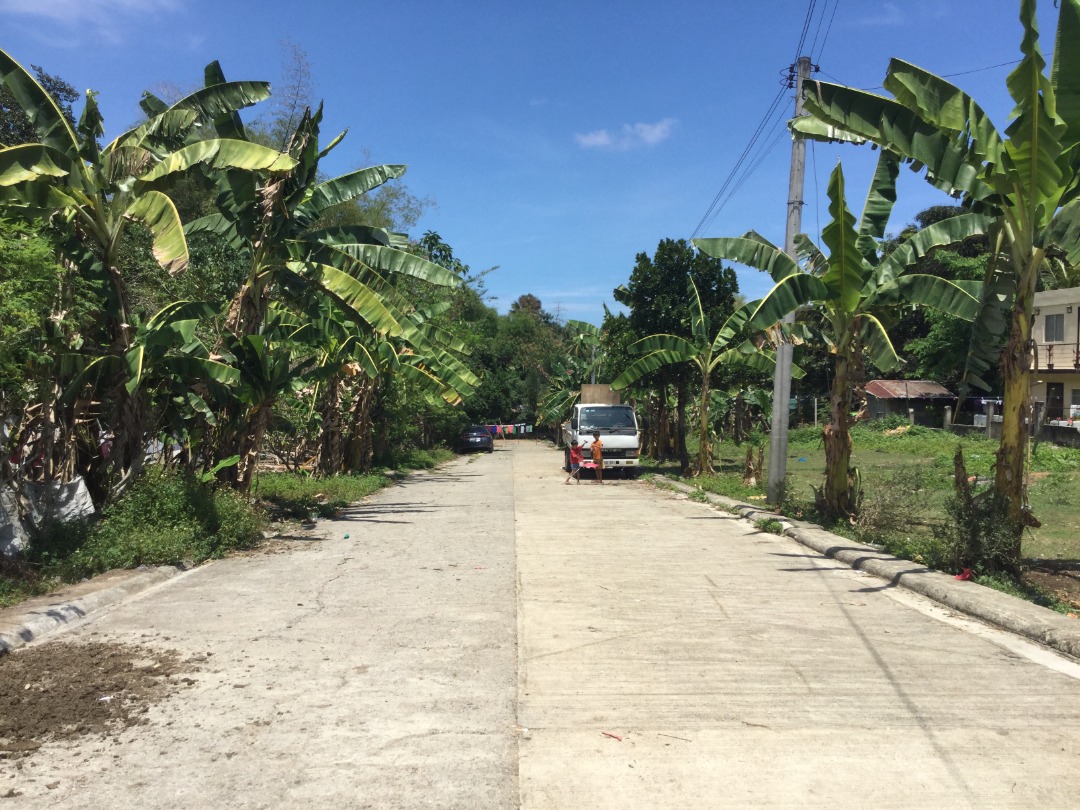 Residential Lot for Sale in Cubacub, Mandaue City, Cebu, Property, For Sale, Lot on Carousell