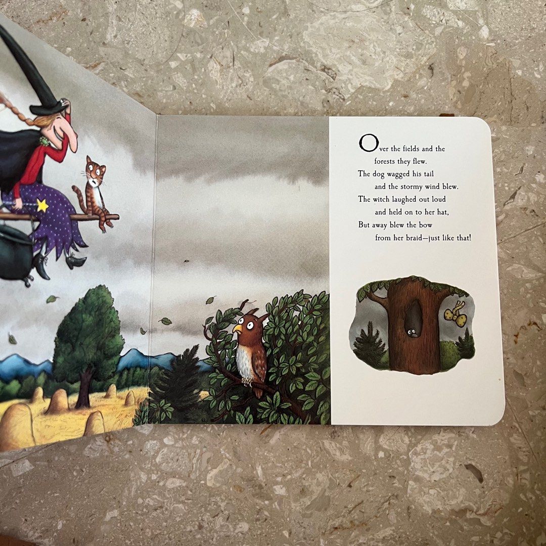 Room on the Broom Board Book by Julia Donaldson & Alex Schaffer ...