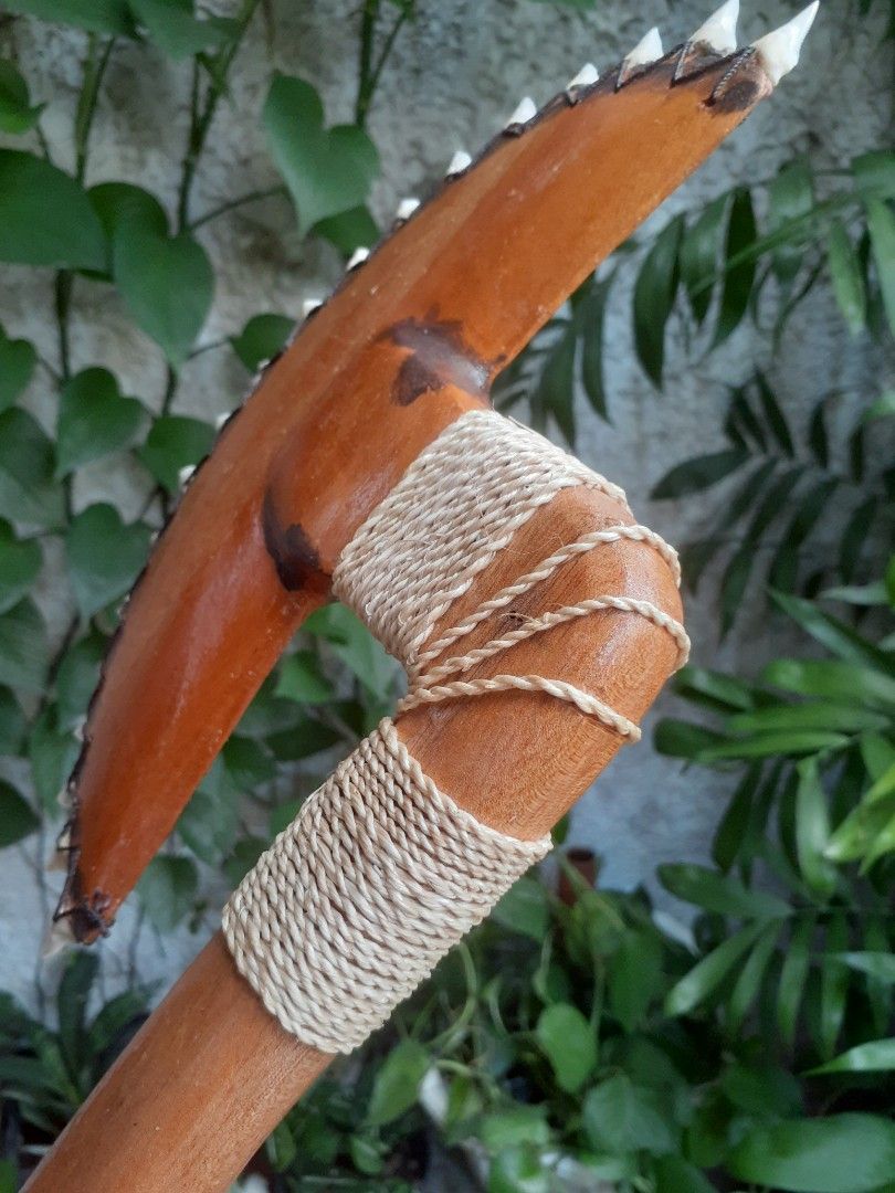 Shark teeth club, Hobbies & Toys, Toys & Games on Carousell