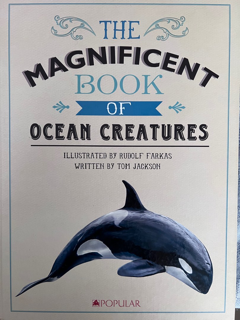 The Magnificent Book of Ocean Creatures, Hobbies & Toys, Books ...