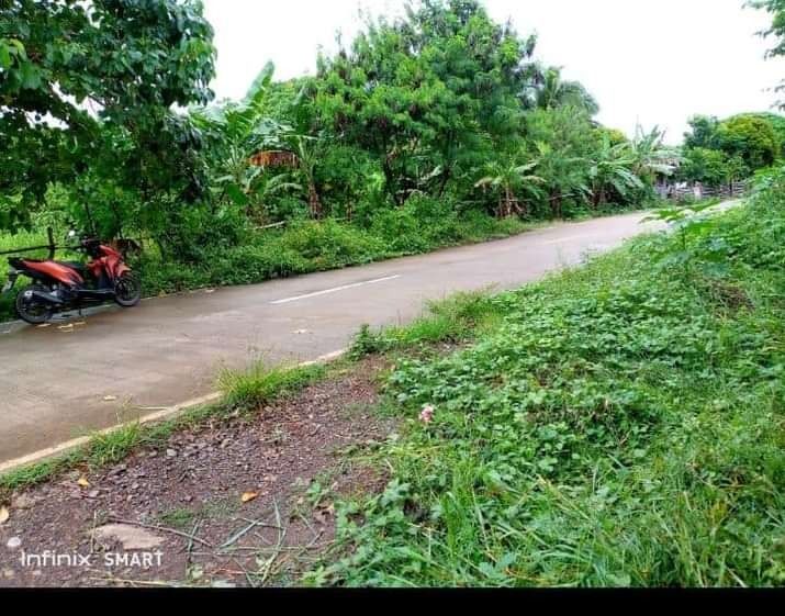 1 hectare flat raw land at high elevation, Property, For Sale, Lot on ...