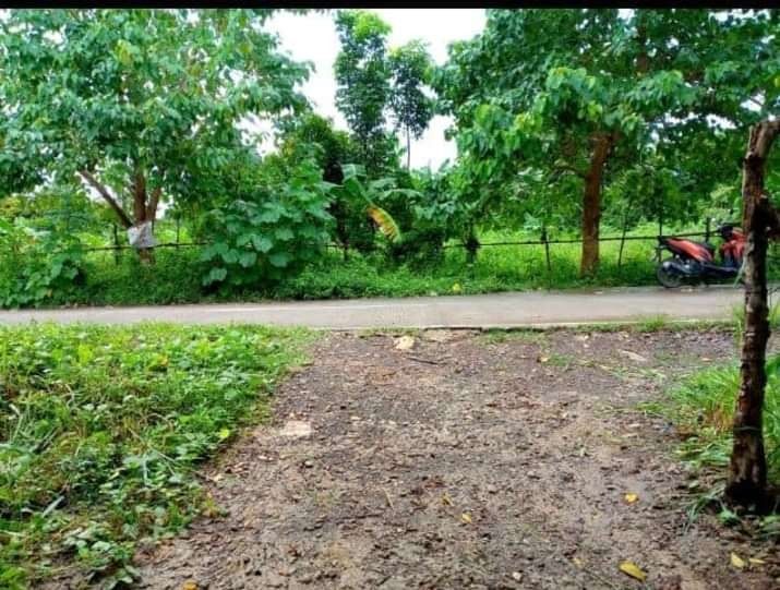 1 hectare flat raw land at high elevation, Property, For Sale, Lot on ...