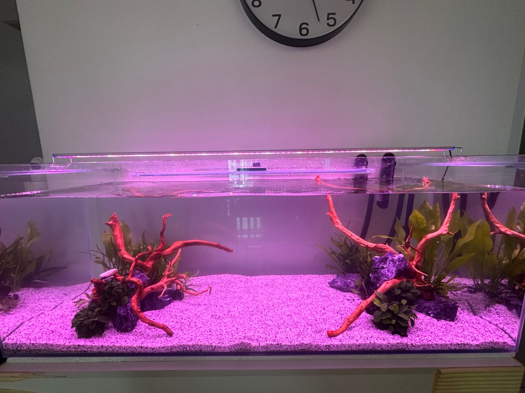 4ft/120cm aquarium fish tank light, Pet Supplies, Homes & Other Pet ...