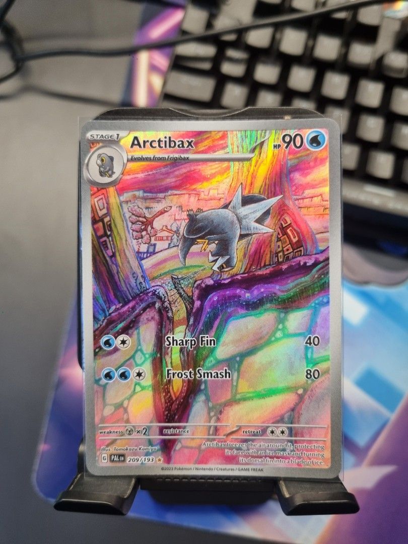 Arctibax IR 209/193 (Paldea Evolved) Pokemon, Hobbies & Toys, Toys ...