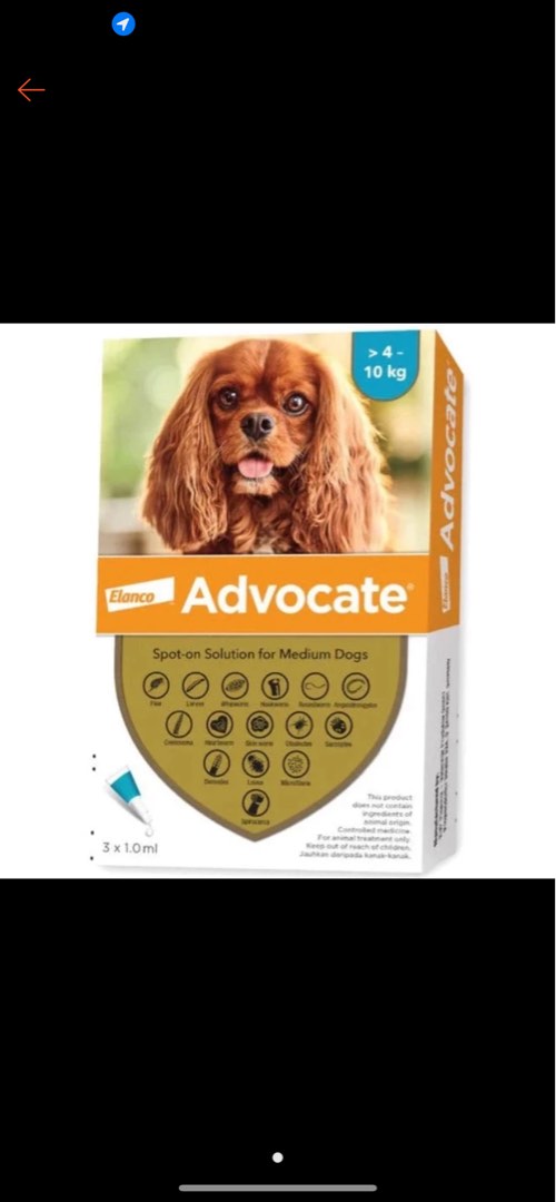 Bayer advocate spot-on solution for dogs (4-10kg), Pet Supplies, Health ...