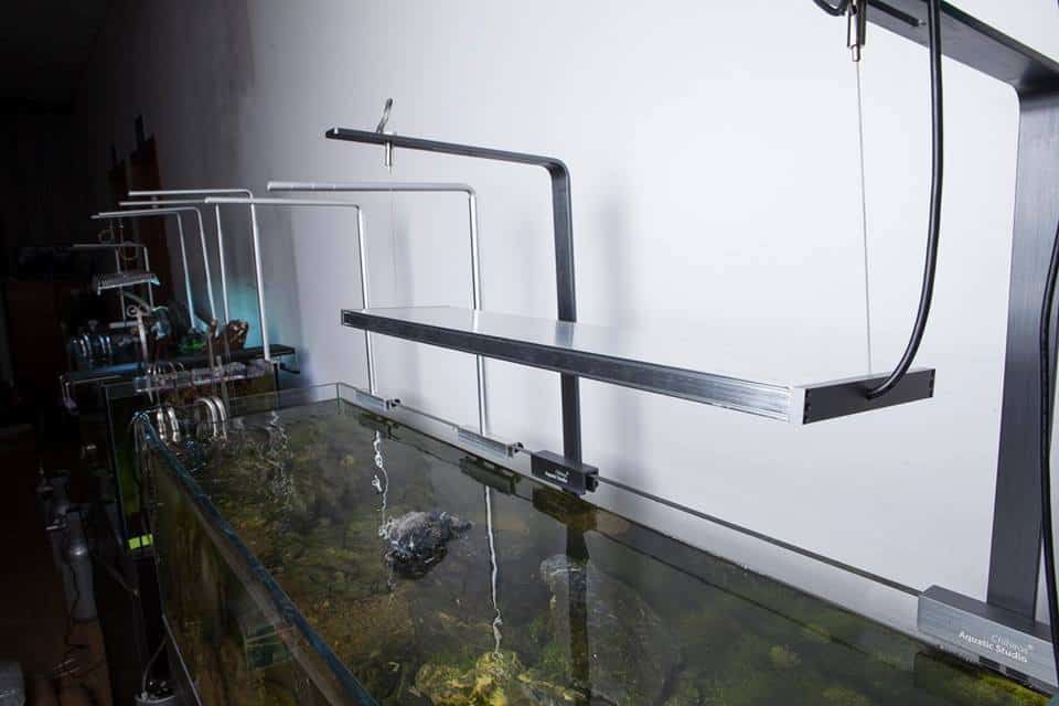 Chihiros Small Size Stand for RGB Vivid and WRGB, Pet Supplies, Homes ...