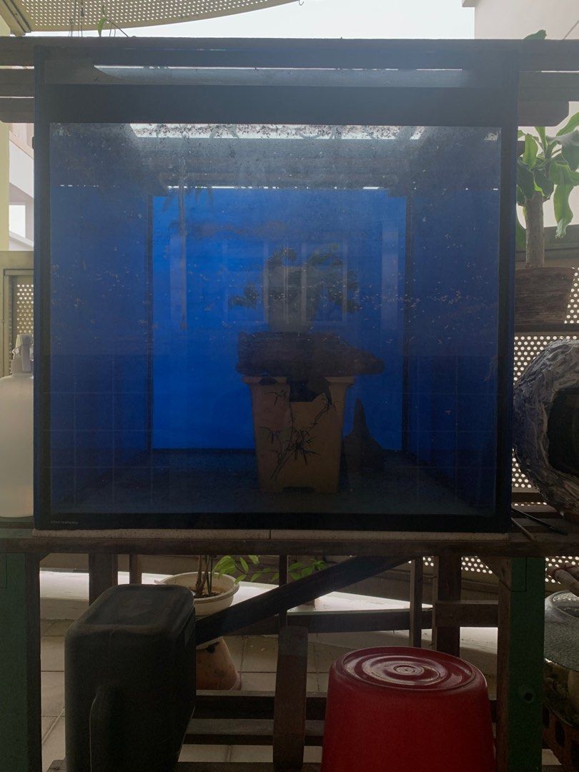 Fish Tank (2ft x 2ft x 2ft), Pet Supplies, Homes & Other Pet ...