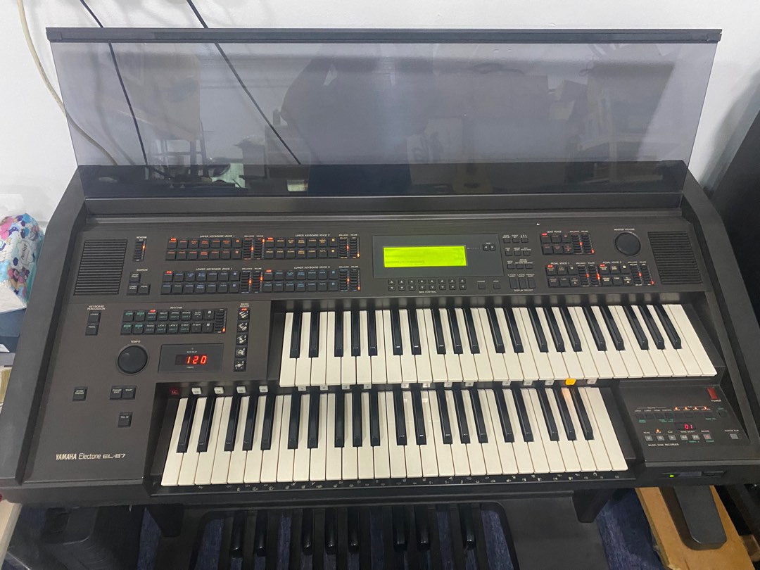 Free, Hobbies & Toys, Music & Media, Musical Instruments on Carousell