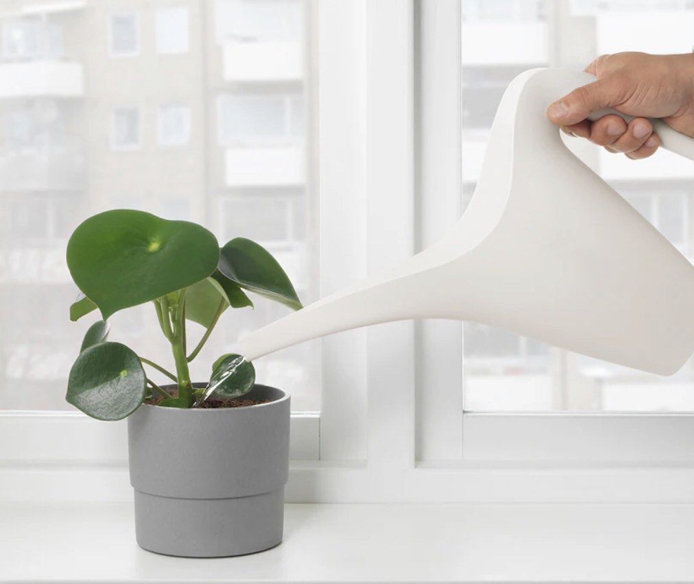 Monika Mulder design IKEA Watering can | Vase, Furniture & Home Living ...