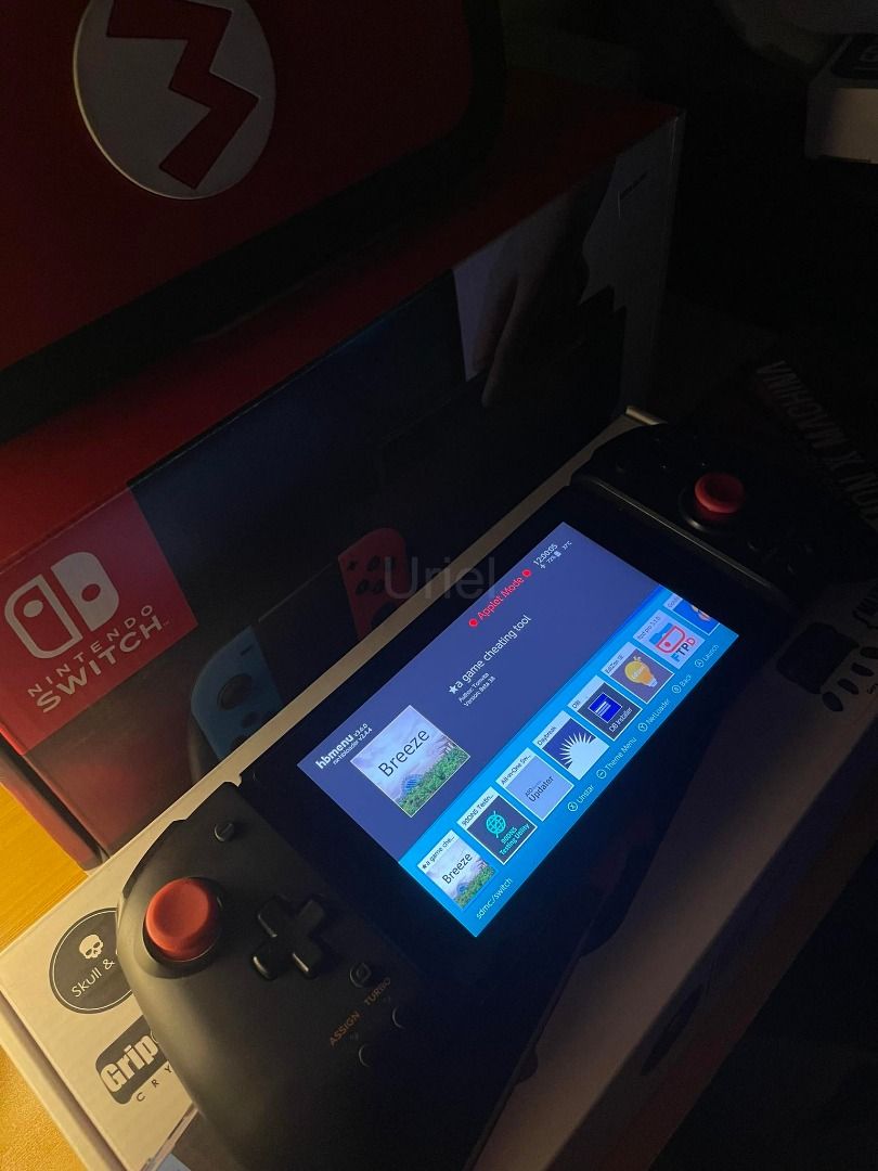 Nintendo Switch V1 Unpatched 128GB JB, Video Gaming, Video Game ...