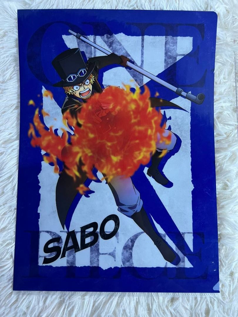 One Piece Clear File [OFFICIAL], Hobbies & Toys, Toys & Games on Carousell