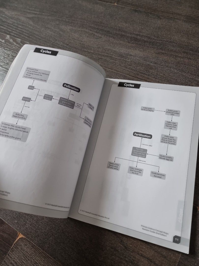 PSLE Science concept maps, Hobbies & Toys, Books & Magazines ...