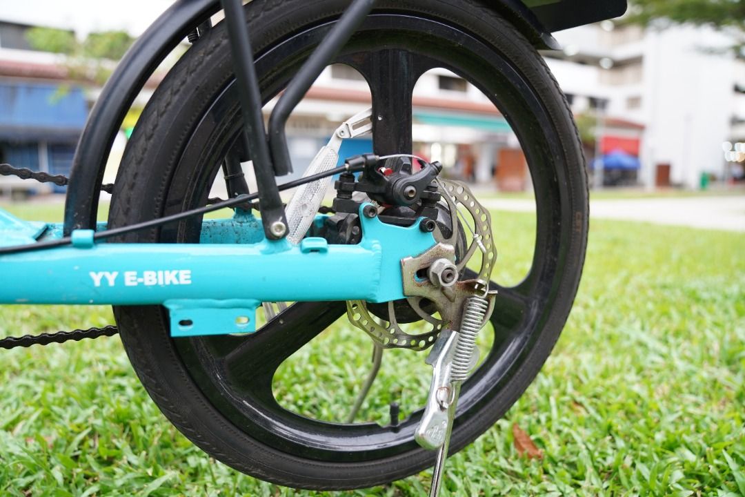 Rogi Max+ Plus Ebike 36V 21Ah Battery Baby Blue Color With Main Stand ...