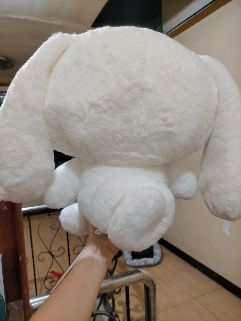 Sanrio Howa Howa Cinnamoroll plush L size, Hobbies & Toys, Toys & Games on Carousell