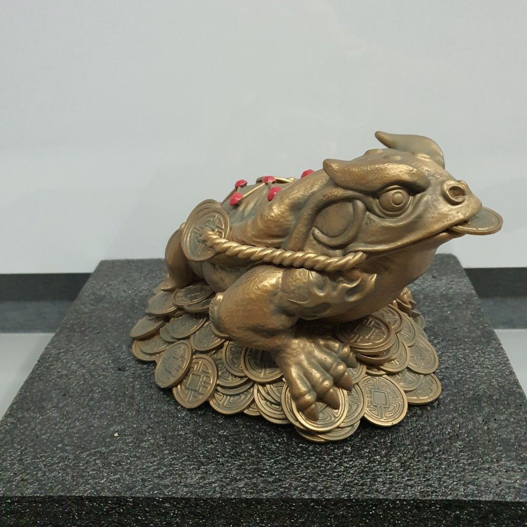 [XXRAY Plus] Fortune Frog by Jason Freeny x Mighty Jaxx, Hobbies & Toys ...