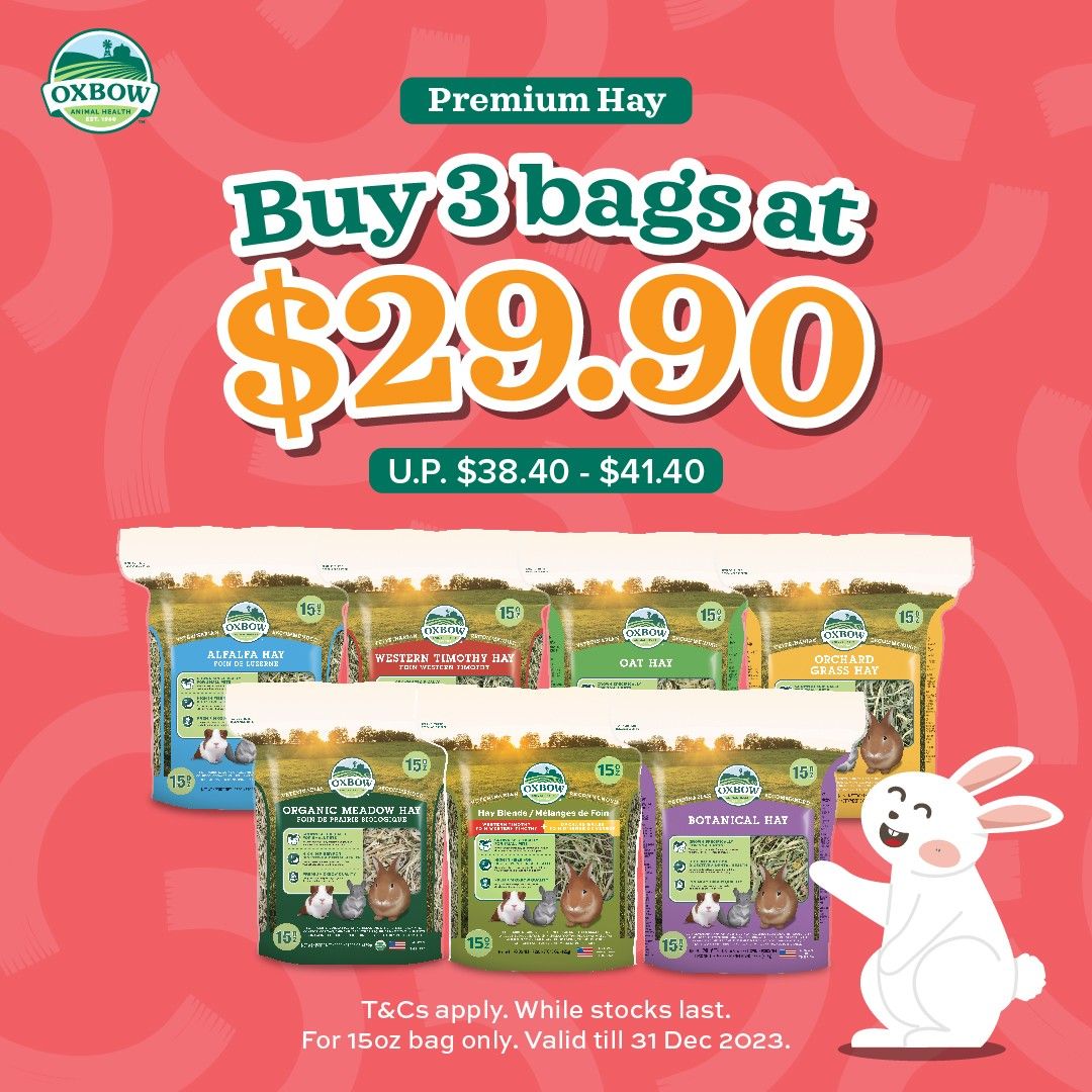 15 Oz hay - oxbow brand, Pet Supplies, Pet Food on Carousell