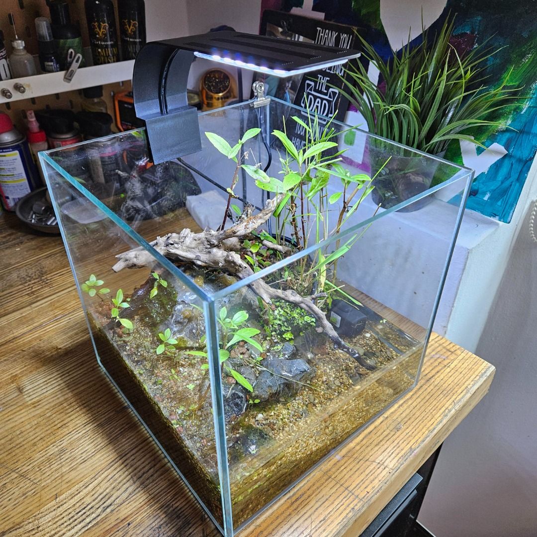 25cm cube aquascape paludarium nano aquarium w/filter & LED light, Pet ...