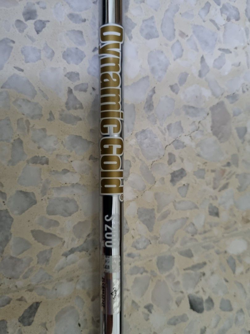 Dynamic Gold S200 shaft with Lamkin grip, Sports Equipment, Sports ...