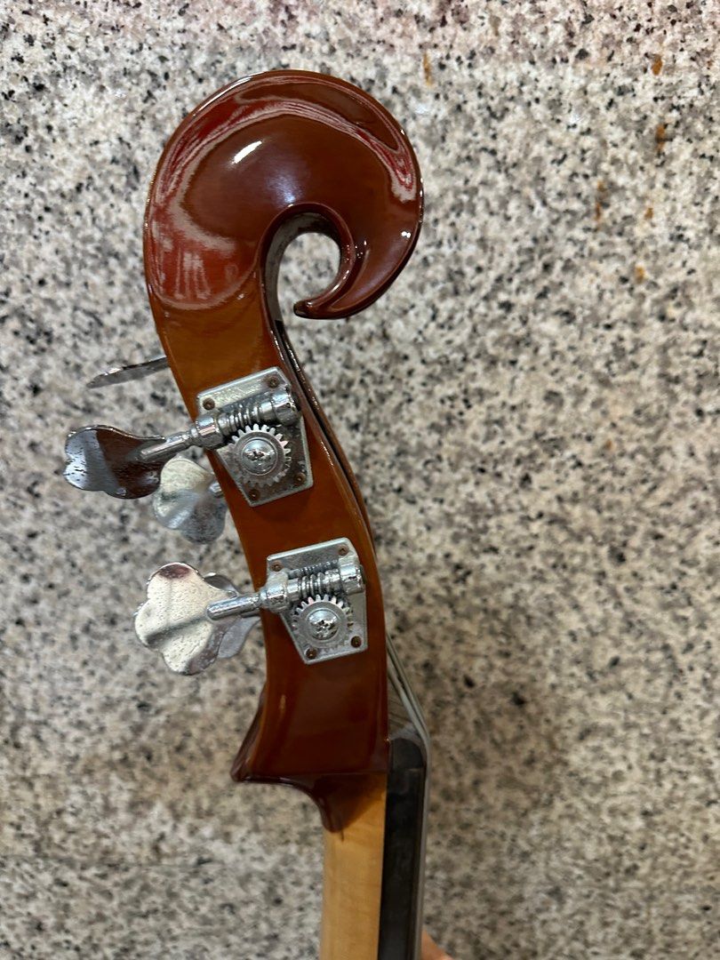 Eminence Electric Upright 5 String Bass, Hobbies & Toys, Music & Media ...