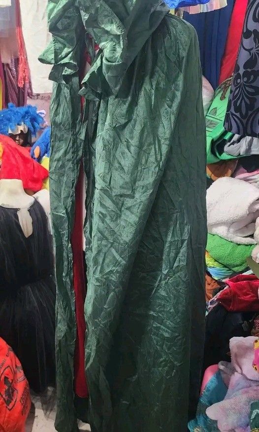 hocus pocus disney costume, Women's Fashion, Coats, Jackets and ...