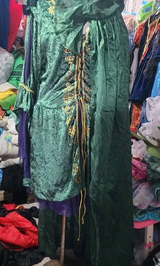 hocus pocus disney costume, Women's Fashion, Coats, Jackets and ...