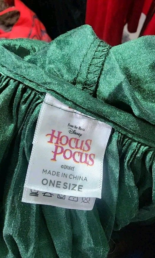 hocus pocus disney costume, Women's Fashion, Coats, Jackets and ...