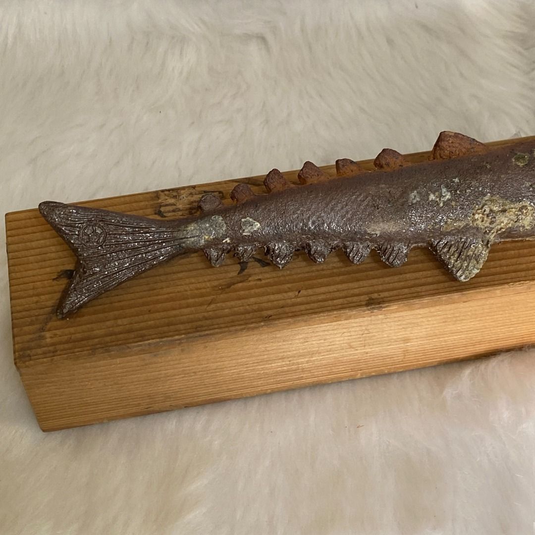 Japanese Rare Vintage Cast Iron Fish Hanging Decor - Collectible ...