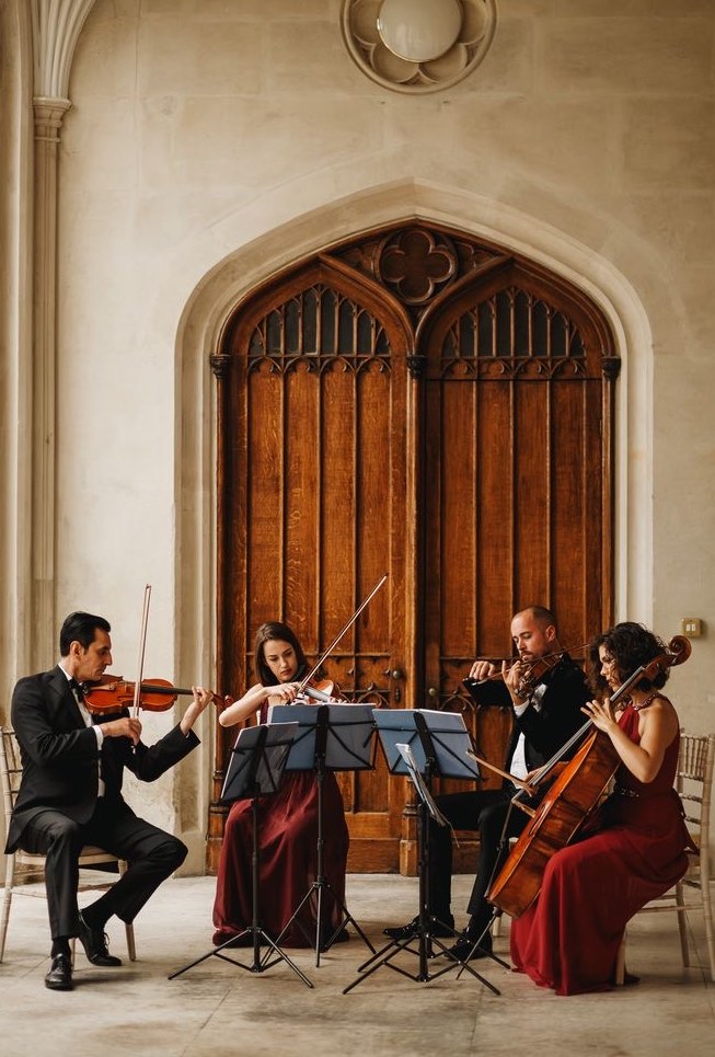 LF : String Players, Hobbies & Toys, Music & Media, Musical Instruments ...