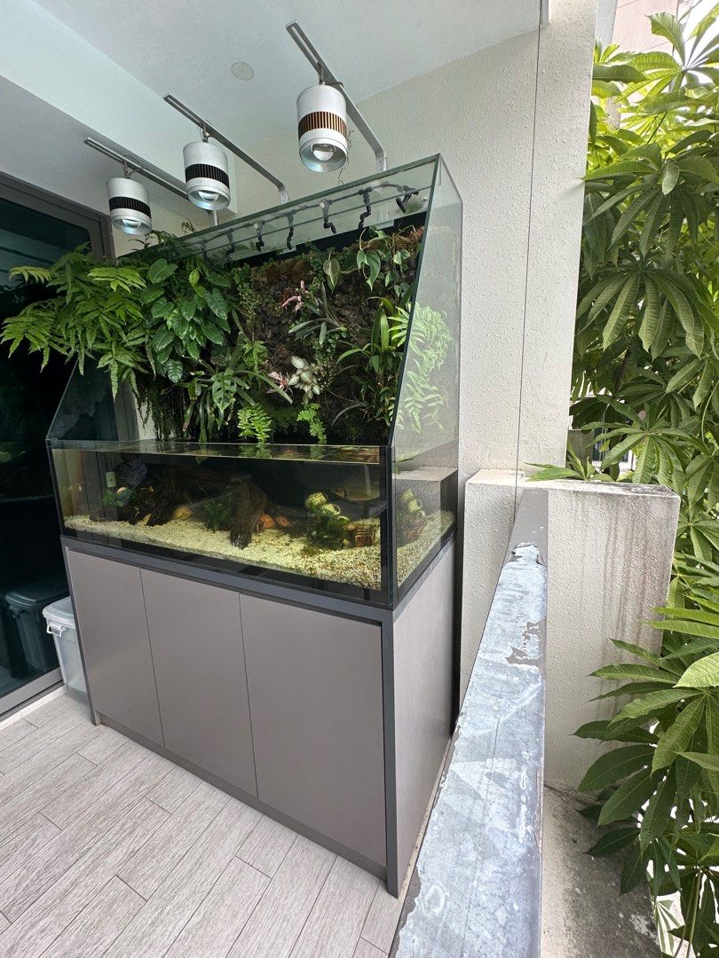 Paludarium c/w sump tank and lights, Pet Supplies, Homes & Other Pet ...