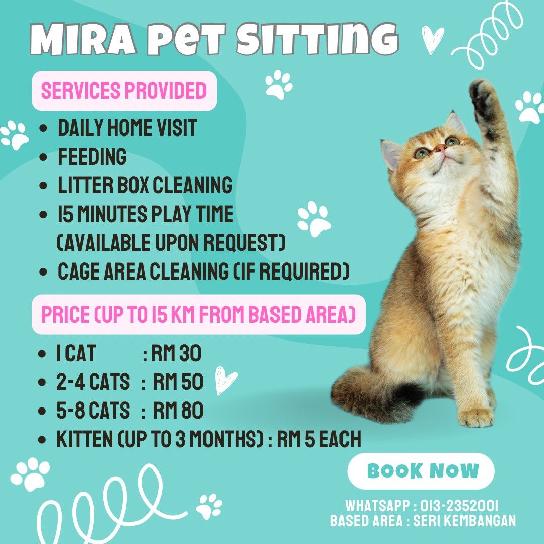 cat sitting services