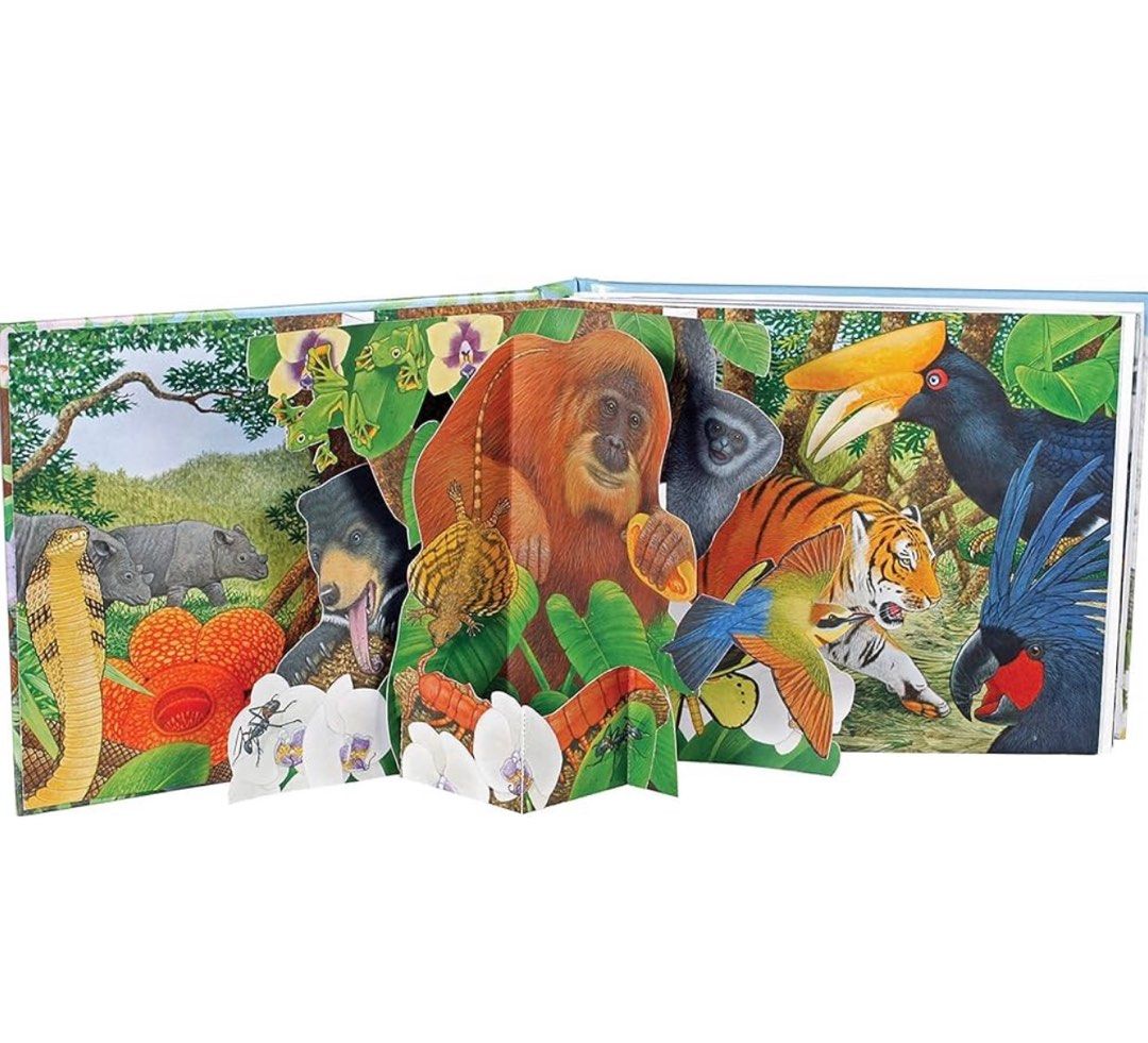 Pop-Up & Sound Book - Wild animals, Hobbies & Toys, Books & Magazines ...