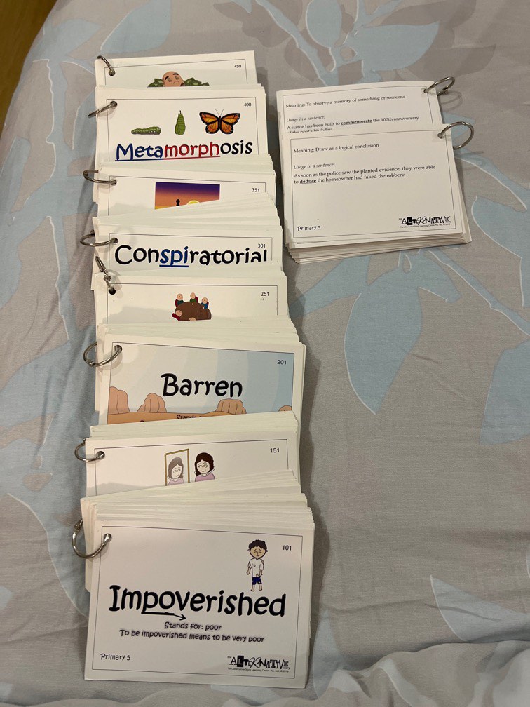 PSLE 500 flash cards, Hobbies & Toys, Books & Magazines, Assessment ...