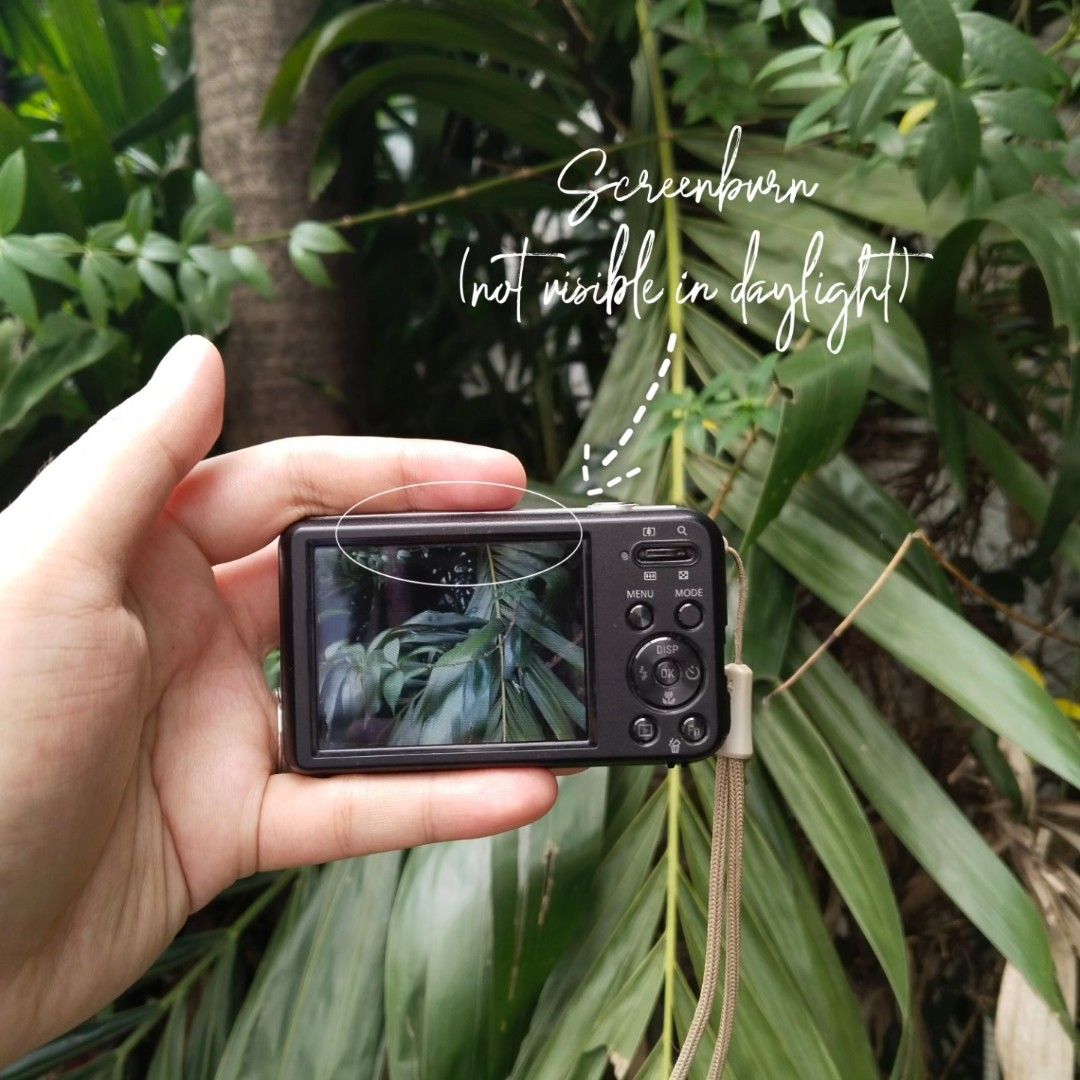 *Rare Digicam* Samsung PL120 Dual Screen, Photography, Cameras on Carousell