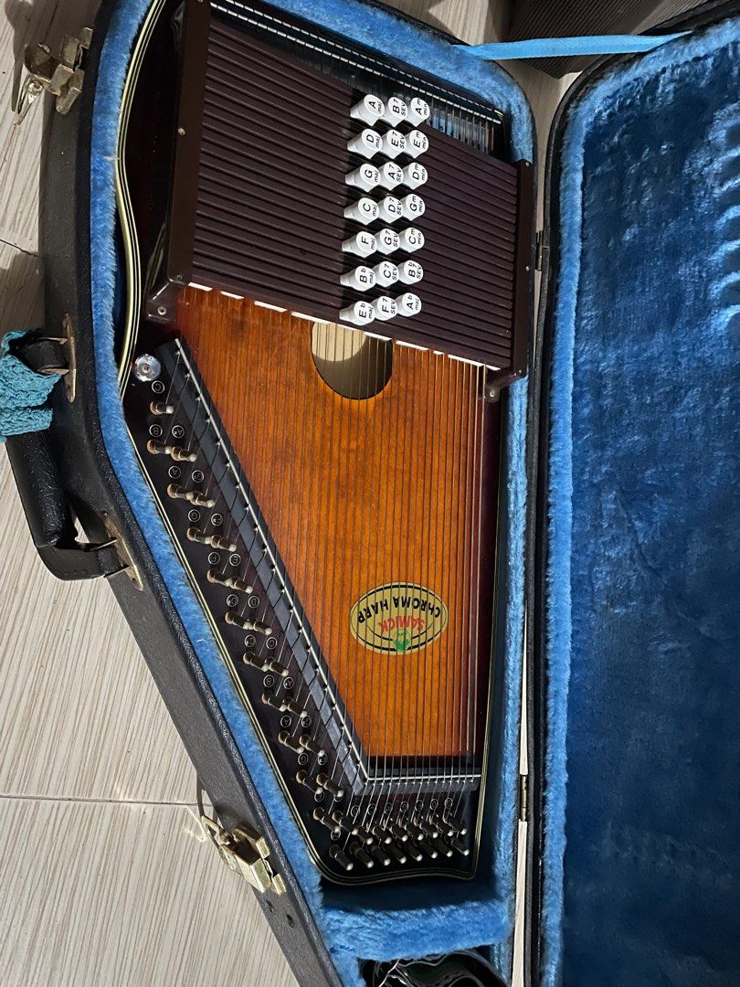 Samick Chroma Harp, Hobbies & Toys, Music & Media, Musical Instruments ...