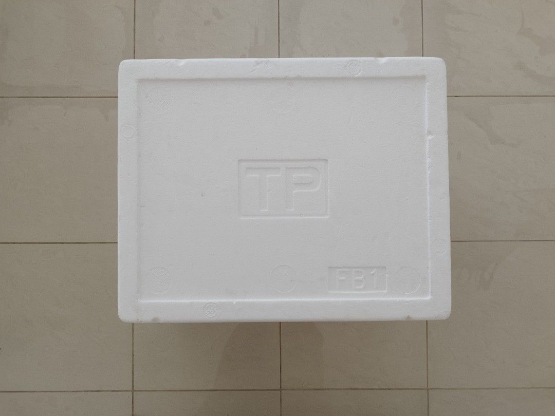 Styrofoam Storage Cooler Box, Furniture & Home Living, Home Improvement ...