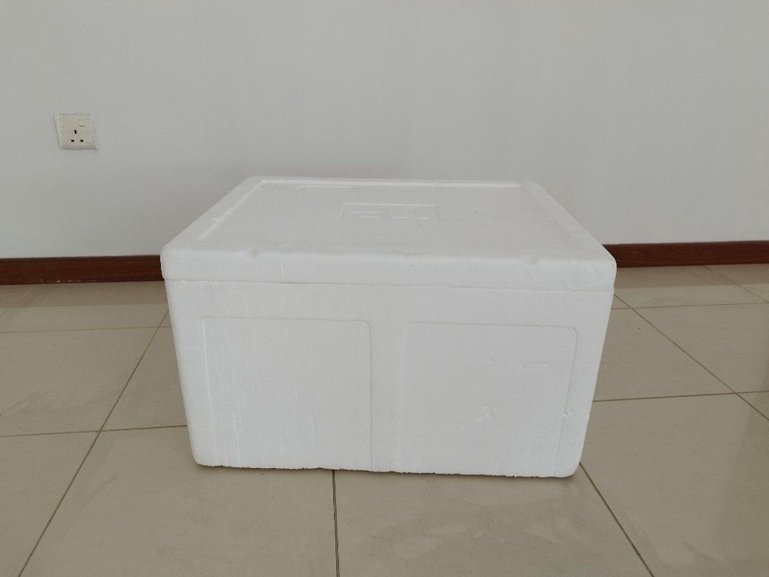 Styrofoam Storage Cooler Box, Furniture & Home Living, Home Improvement ...