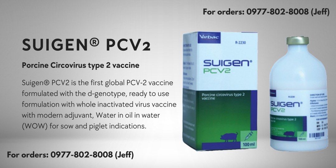 Suigen® PCV2 Vaccine for Swine: Enhanced Health and Productivity - In Stock!, Health & Nutrition ...