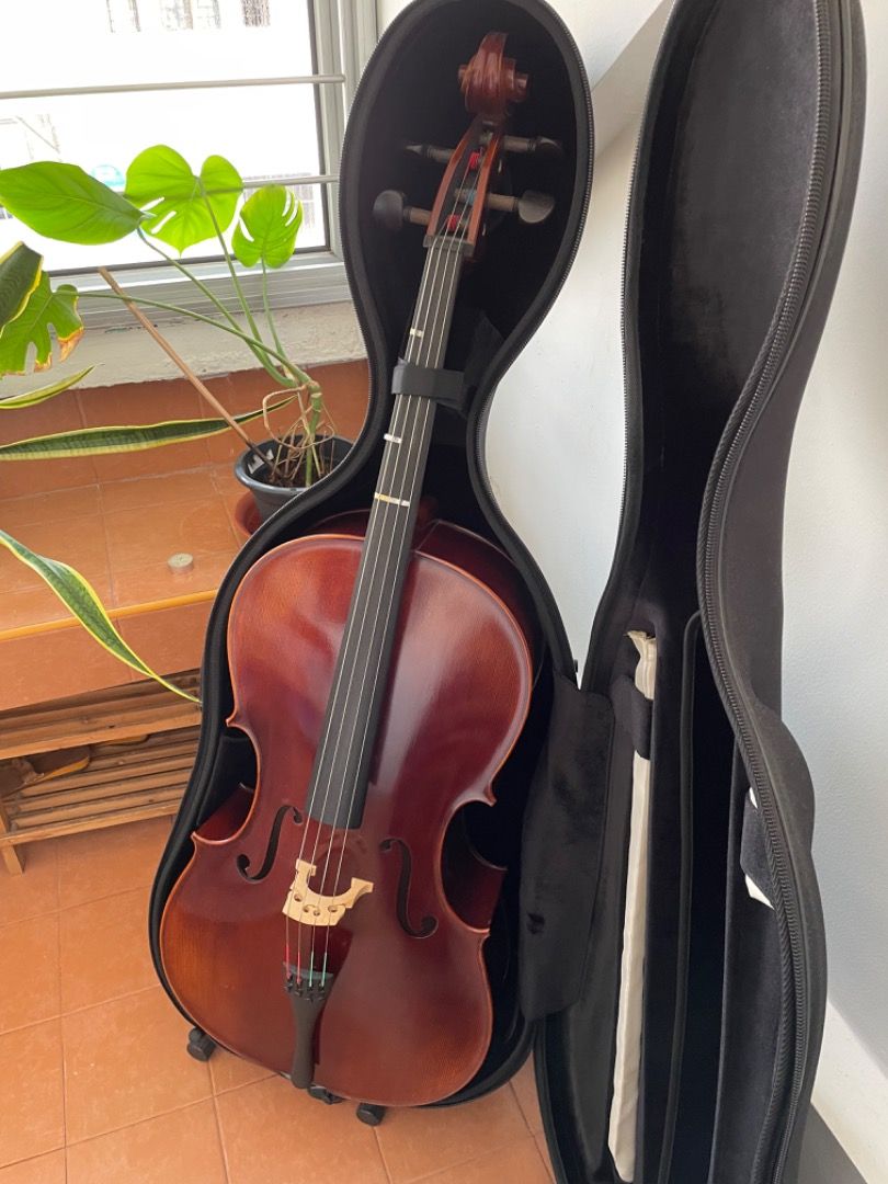 Synwin Handmade Model Cello Outfit (SVC5001), Hobbies & Toys, Music ...