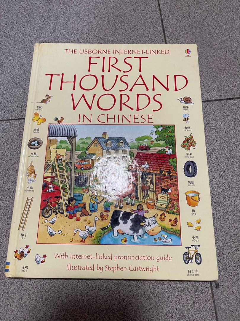 USBorne First Chinese Book, Hobbies & Toys, Books & Magazines, Children ...